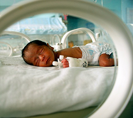 R Categories (Peds Path)